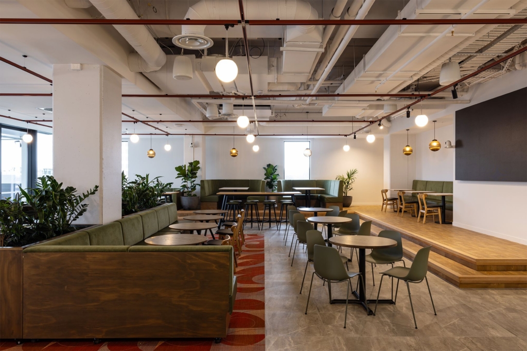 Vector Offices - Auckland | Office Snapshots