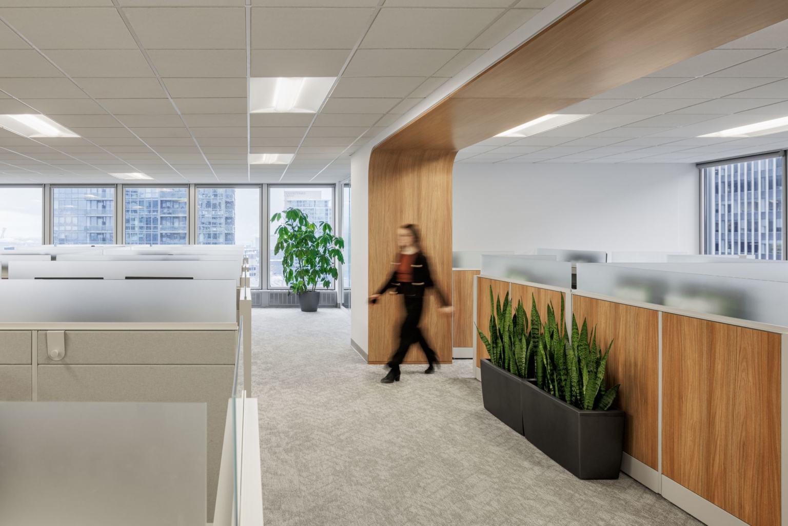 Northbridge Insurance Offices - Montreal | Office Snapshots