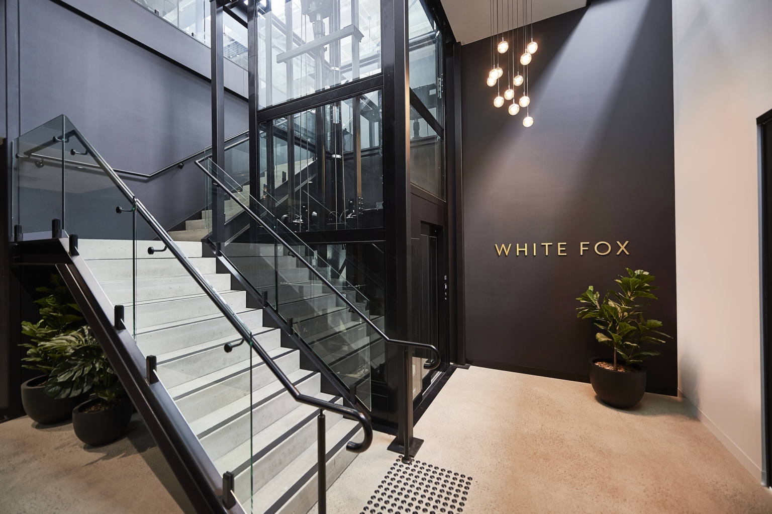 White Fox Offices - Sydney | Office Snapshots
