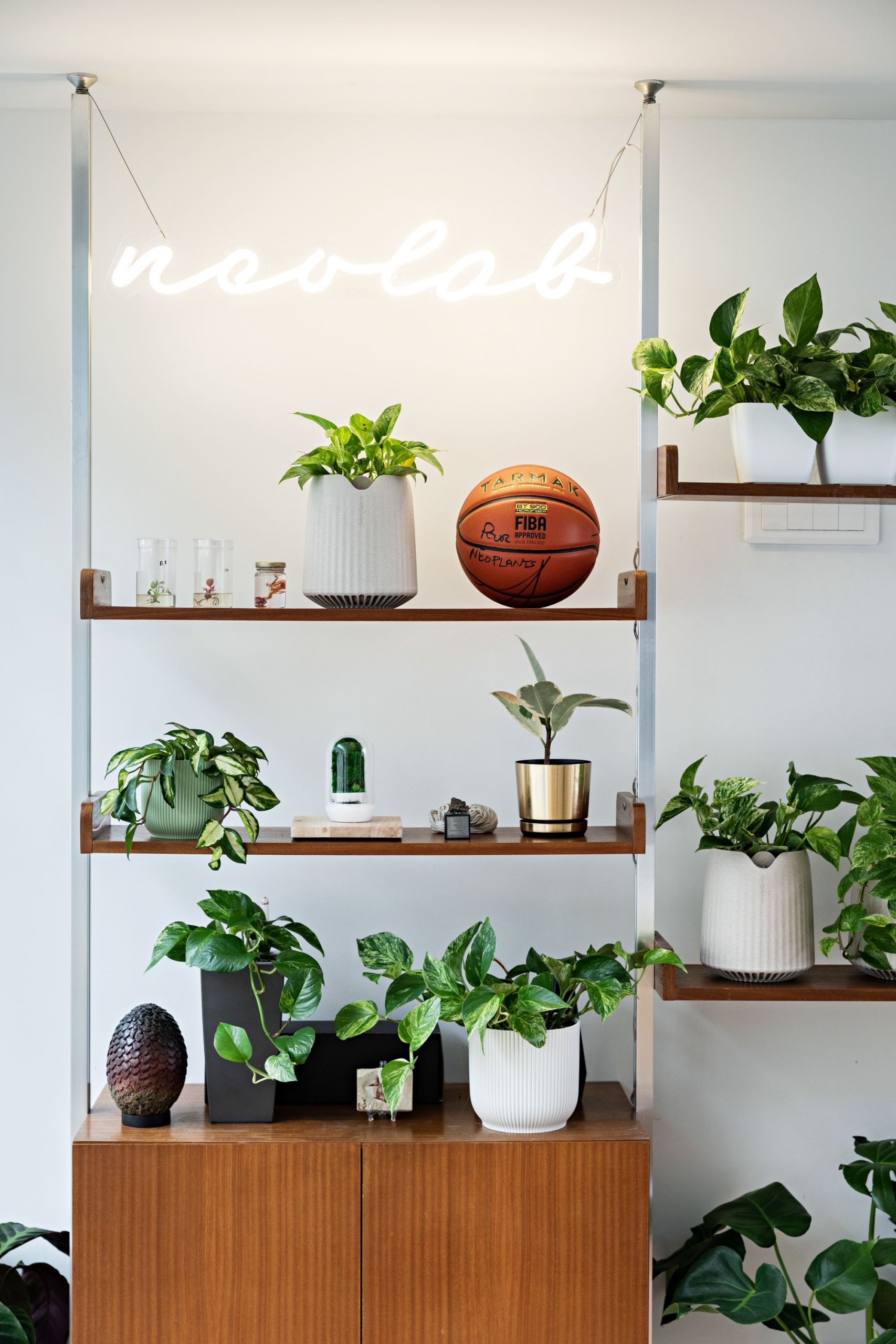 Neoplants Offices - Paris | Office Snapshots