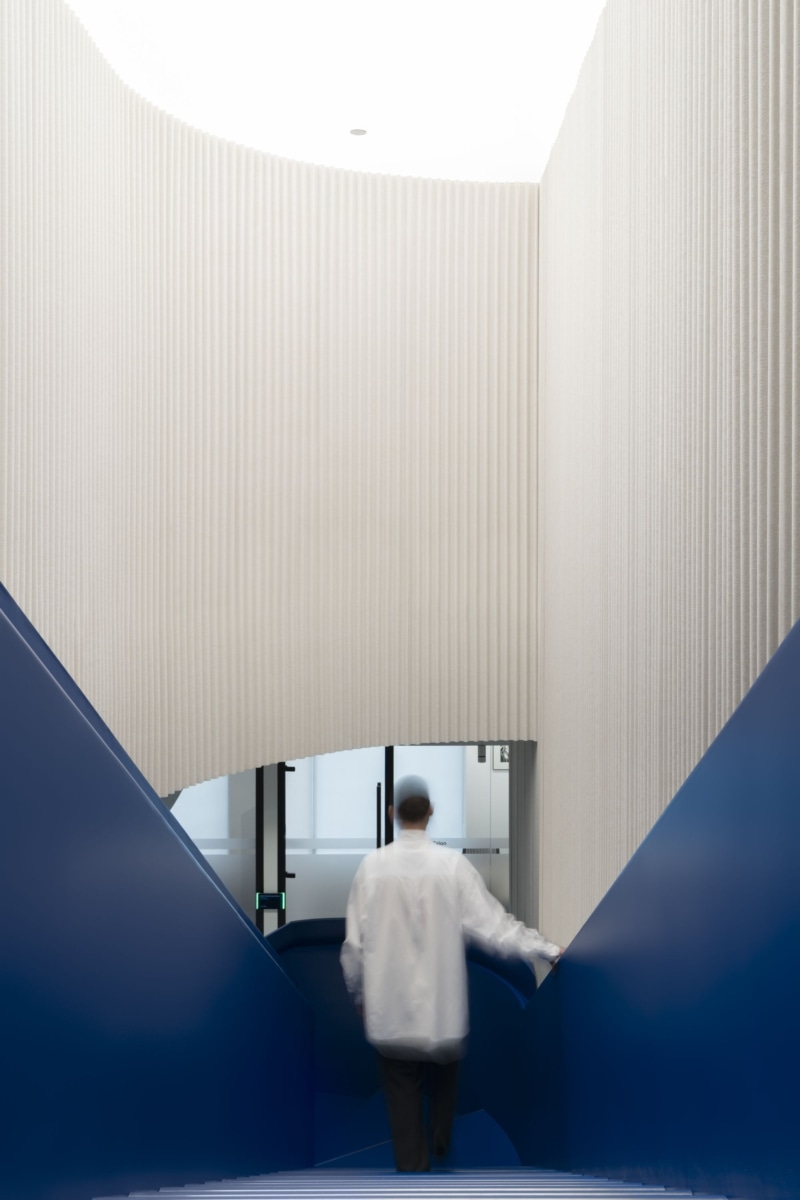 BDO Offices - Montreal | Office Snapshots