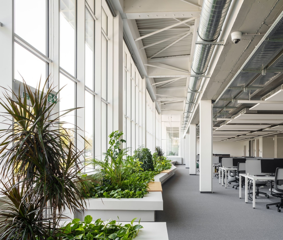 Schneider Electric Hub - Novi Sad | Office Snapshots